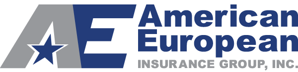 About | American European Insurance Group